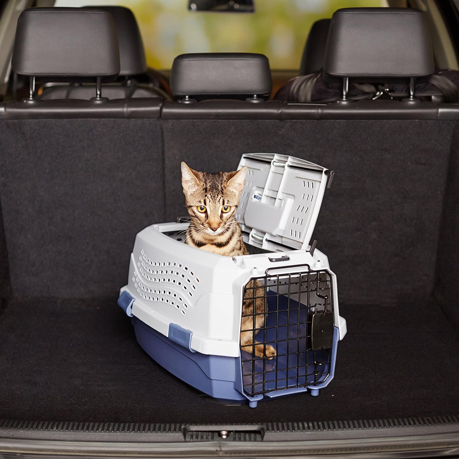 Amazon Basics 2-Door Top-Load Hard-Sided Pet Travel Carrier Review