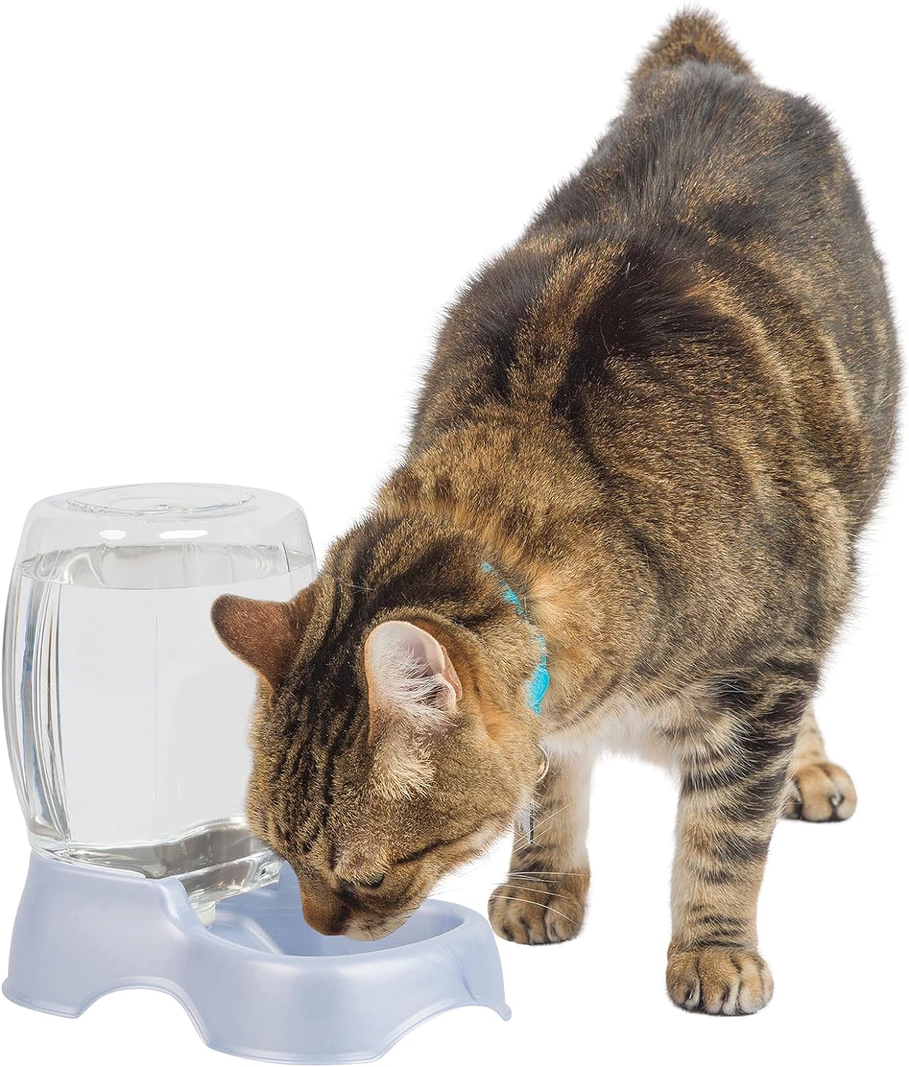 Petmate Replendish Waterer Review